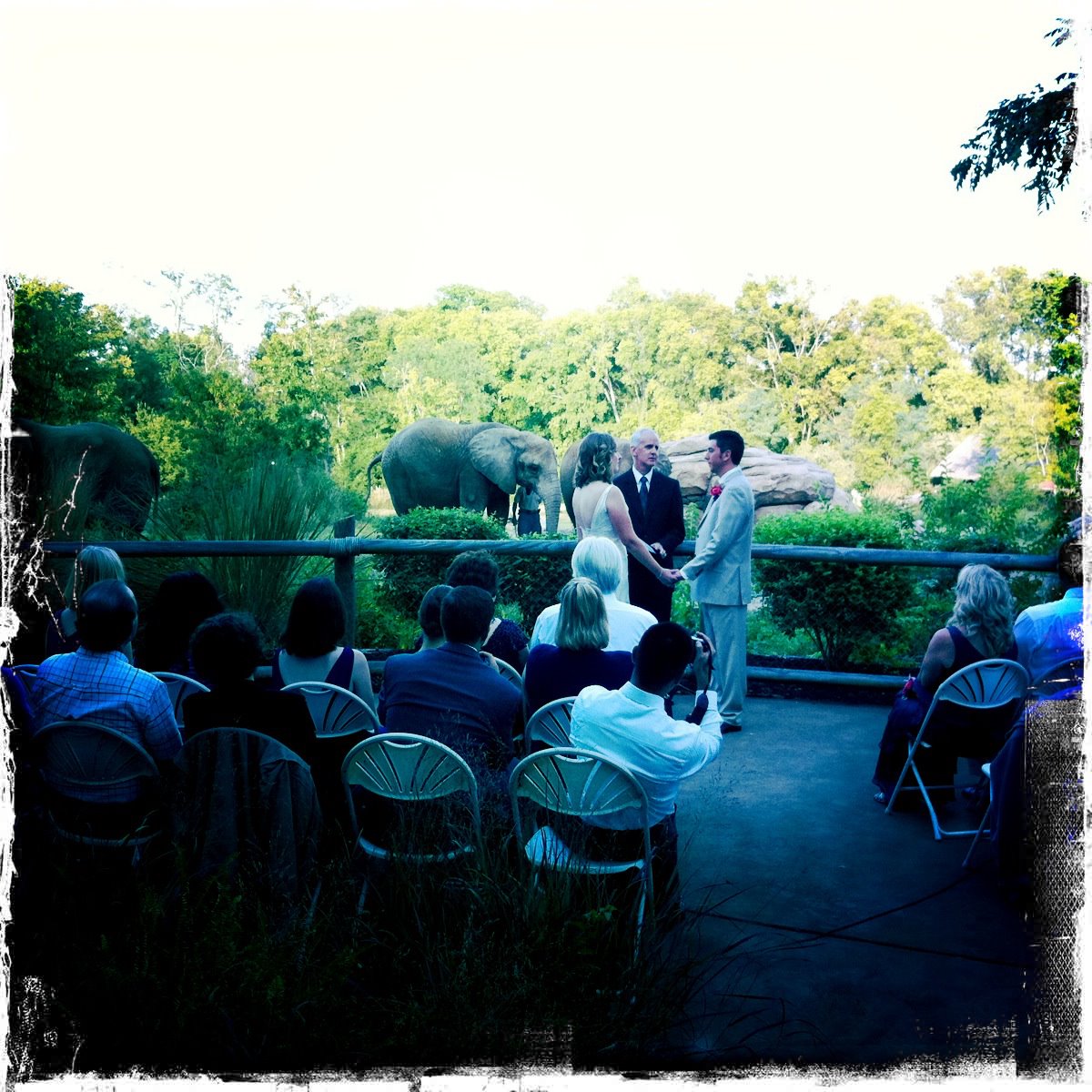 Interactive Guide to Getting Your Tennessee Marriage License ...